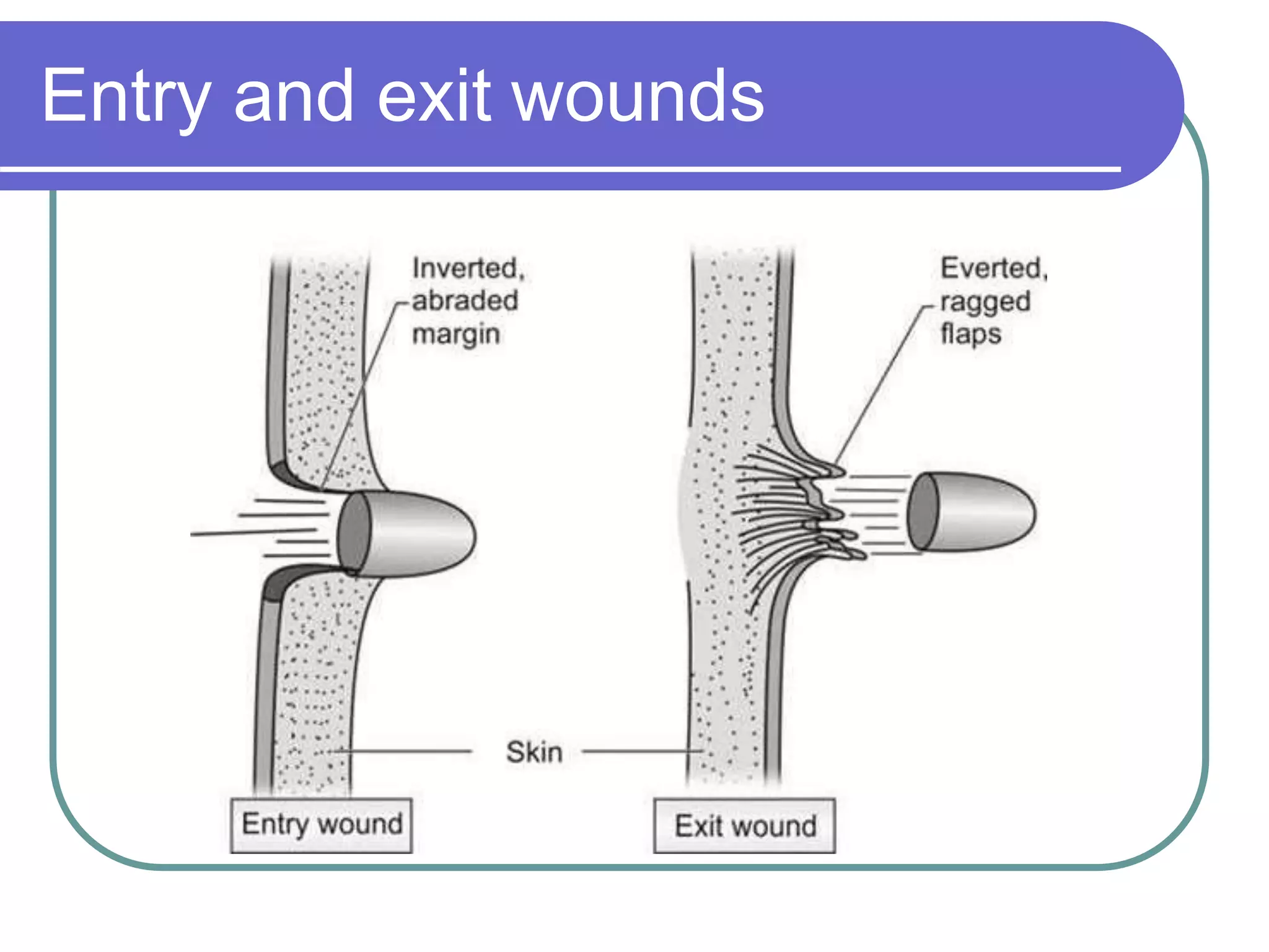 firearms- | PPTX