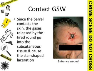 Firearms power point presentation weapons | PPTX