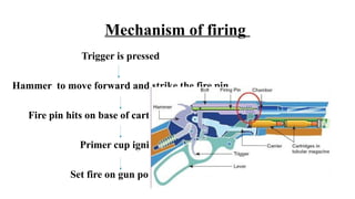 FIRE ARMS AND WOUND BALLISTICS- FORENSIC OVERVIEW | PPTX