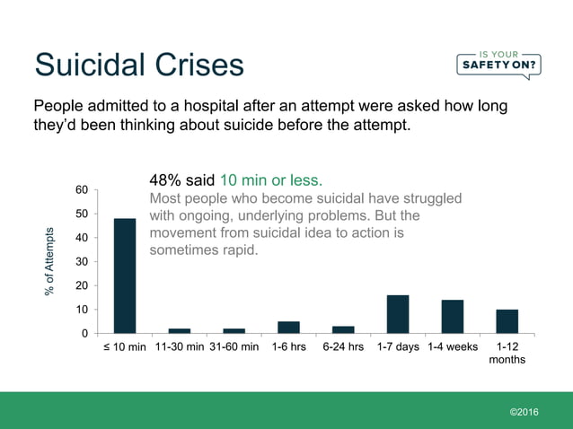 Firearm safety | PPT