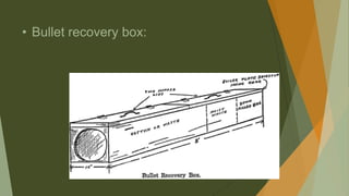 Firearms as evidence | PPTX