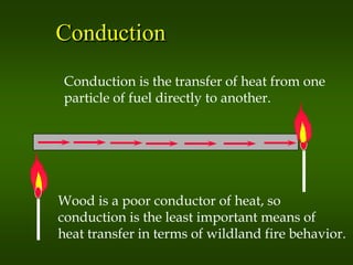 Fire behaviour _1.pptx