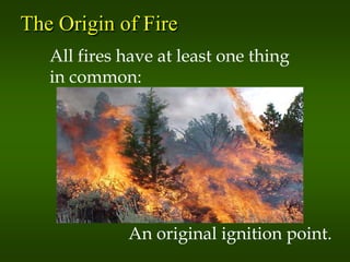 Fire behaviour _1.pptx