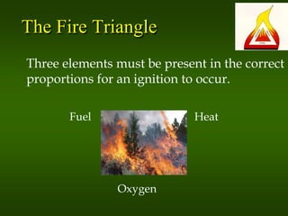 Fire behaviour _1.pptx