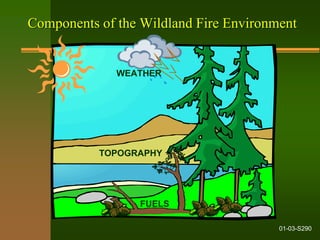 Fire behaviour _1.pptx