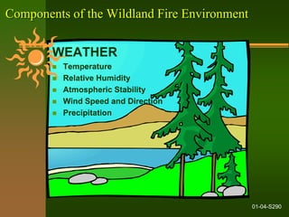 Fire behaviour _1.pptx