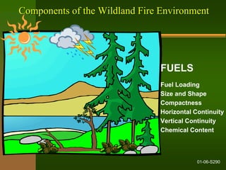 Fire behaviour _1.pptx