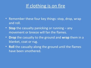 Firecracker Burns Safety | PPT