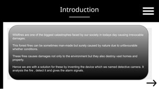 Fire Detection System large scale issue .pptx