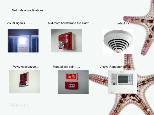 Fire detection system operation | PPTX | Home Security | Home & Garden