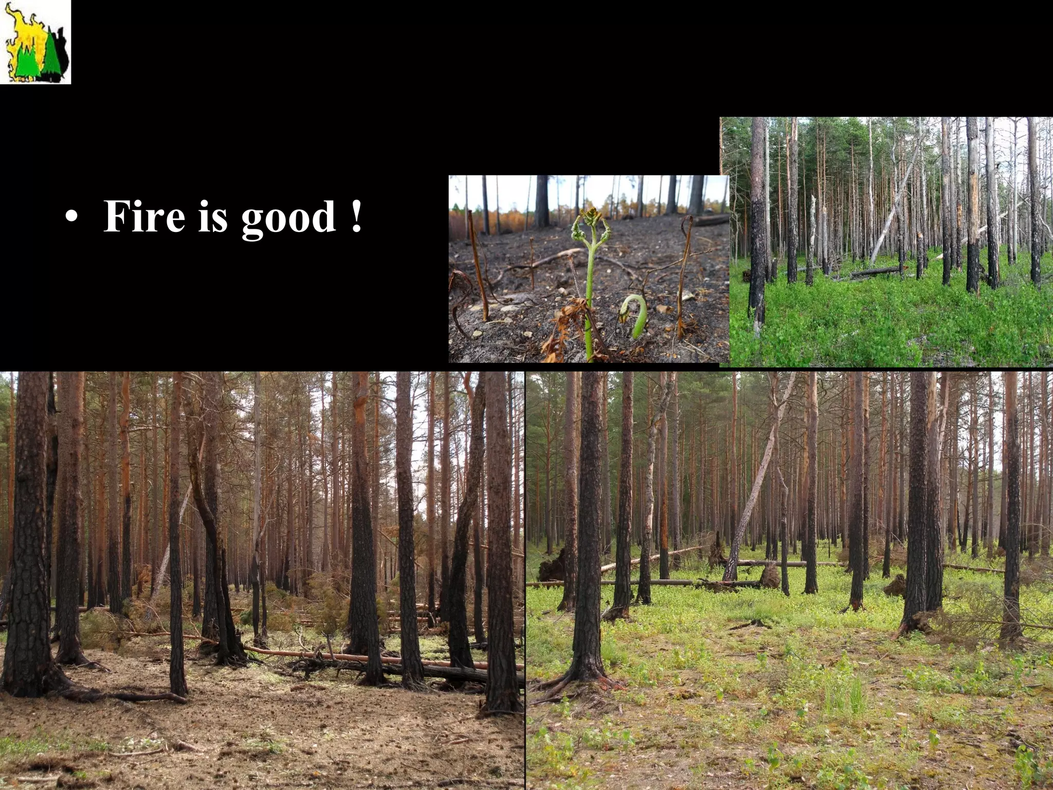 Fire ecology notes ppt | PPT