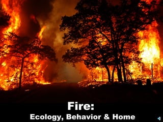 Fire ecology notes ppt | PPT