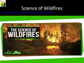 Fire ecology notes ppt | PPT