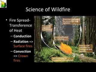 Fire ecology notes ppt | PPT