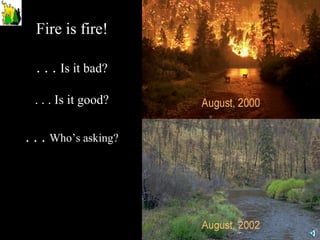 Fire ecology notes ppt | PPT