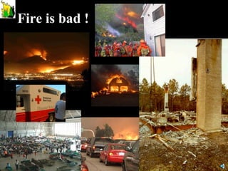 Fire ecology notes ppt | PPT