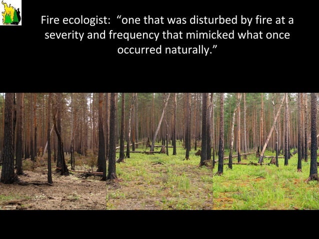 Fire ecology notes ppt | PPT