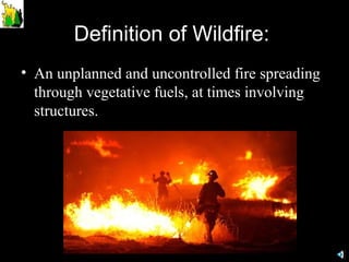 Fire ecology notes ppt | PPT