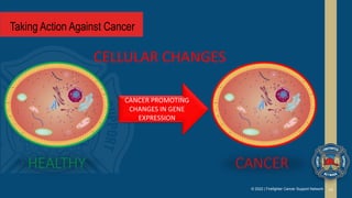 Firefighter Cancer module 1. Cancer Prevention | PPTX