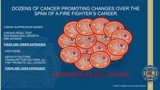 Firefighter Cancer module 1. Cancer Prevention | PPTX