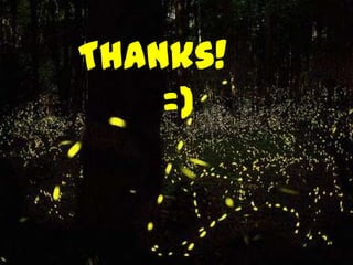 Fireflies | PPT