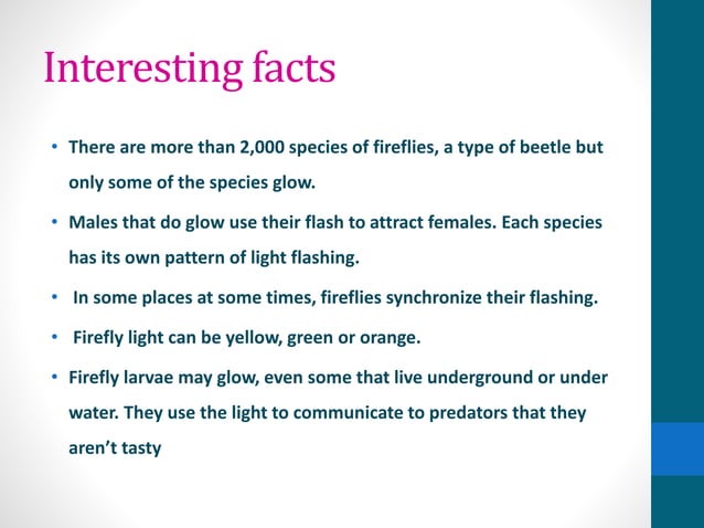 Fireflies | PPTX | Agriculture | Industries