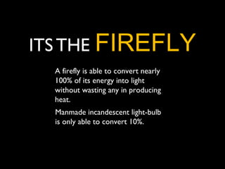 Firefly | PPT