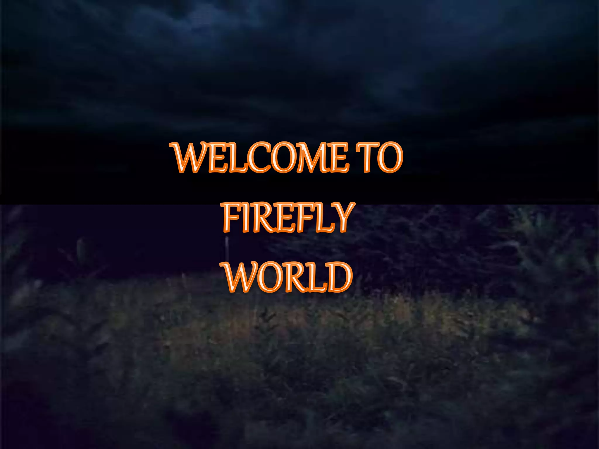 flashing signal evolution, mating choice and predation in firefly | PPSX