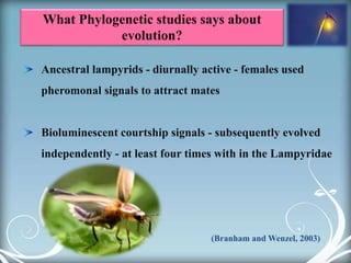 flashing signal evolution, mating choice and predation in firefly | PPSX