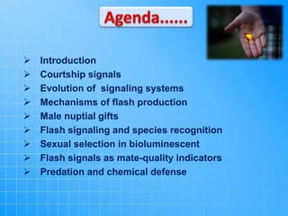 flashing signal evolution, mating choice and predation in firefly | PPSX