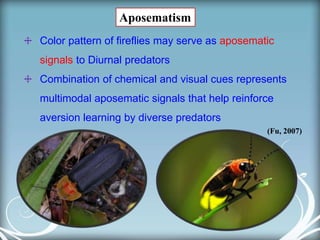 flashing signal evolution, mating choice and predation in firefly | PPSX