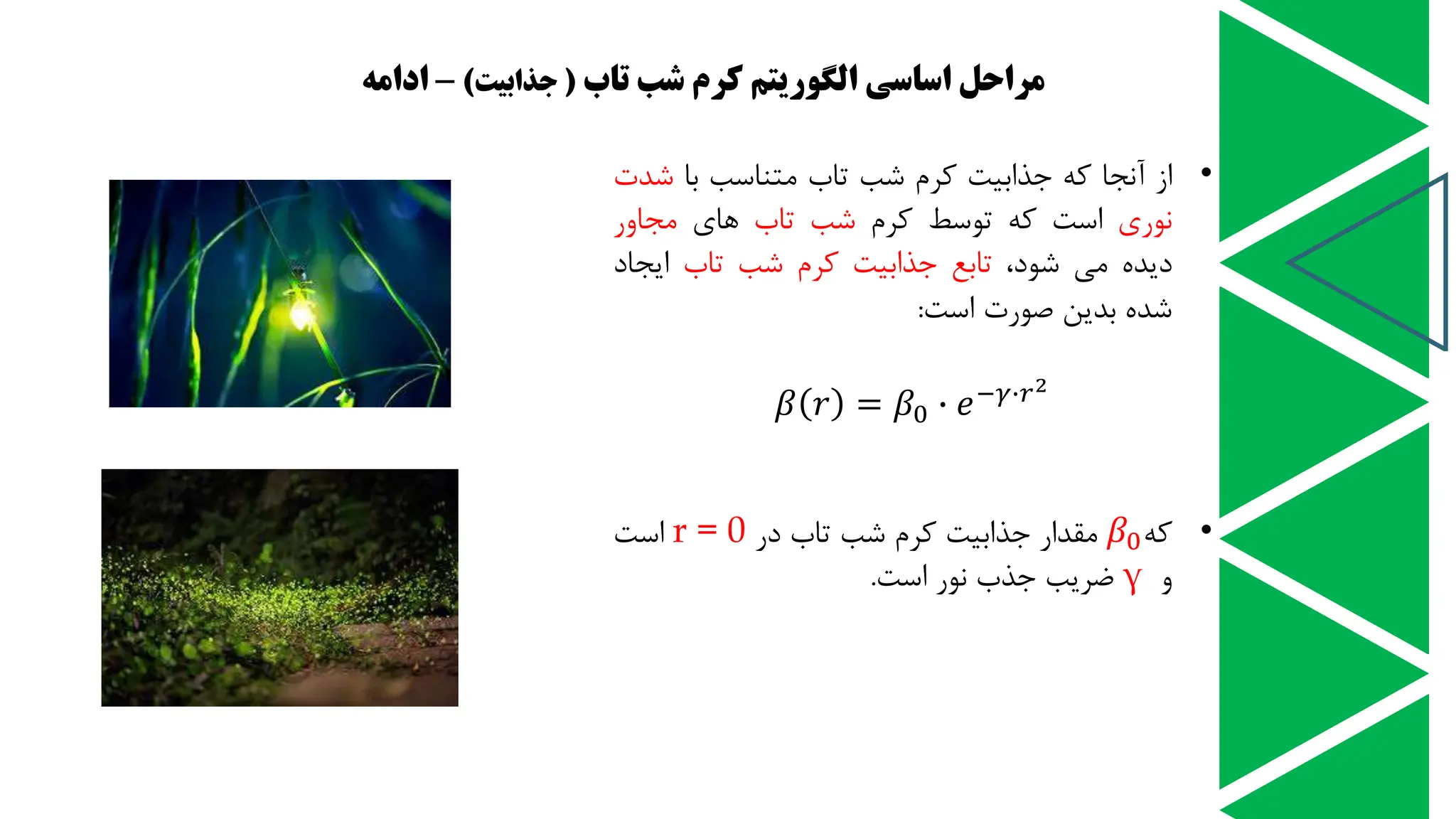 Firefly Algorithm 12pptx