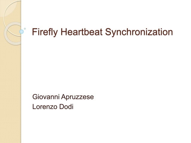 Firefly heartbeat synchronization | PPT