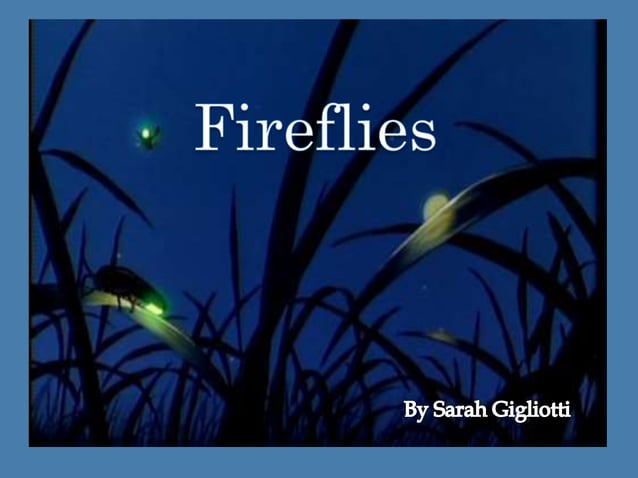 Firefly story | PPTX