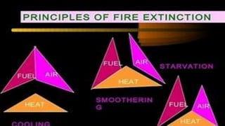 fire growth & spread of fire in compartment and behaviour of fire in ...