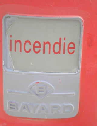 Fire Hydrant on St. Martin's | PDF