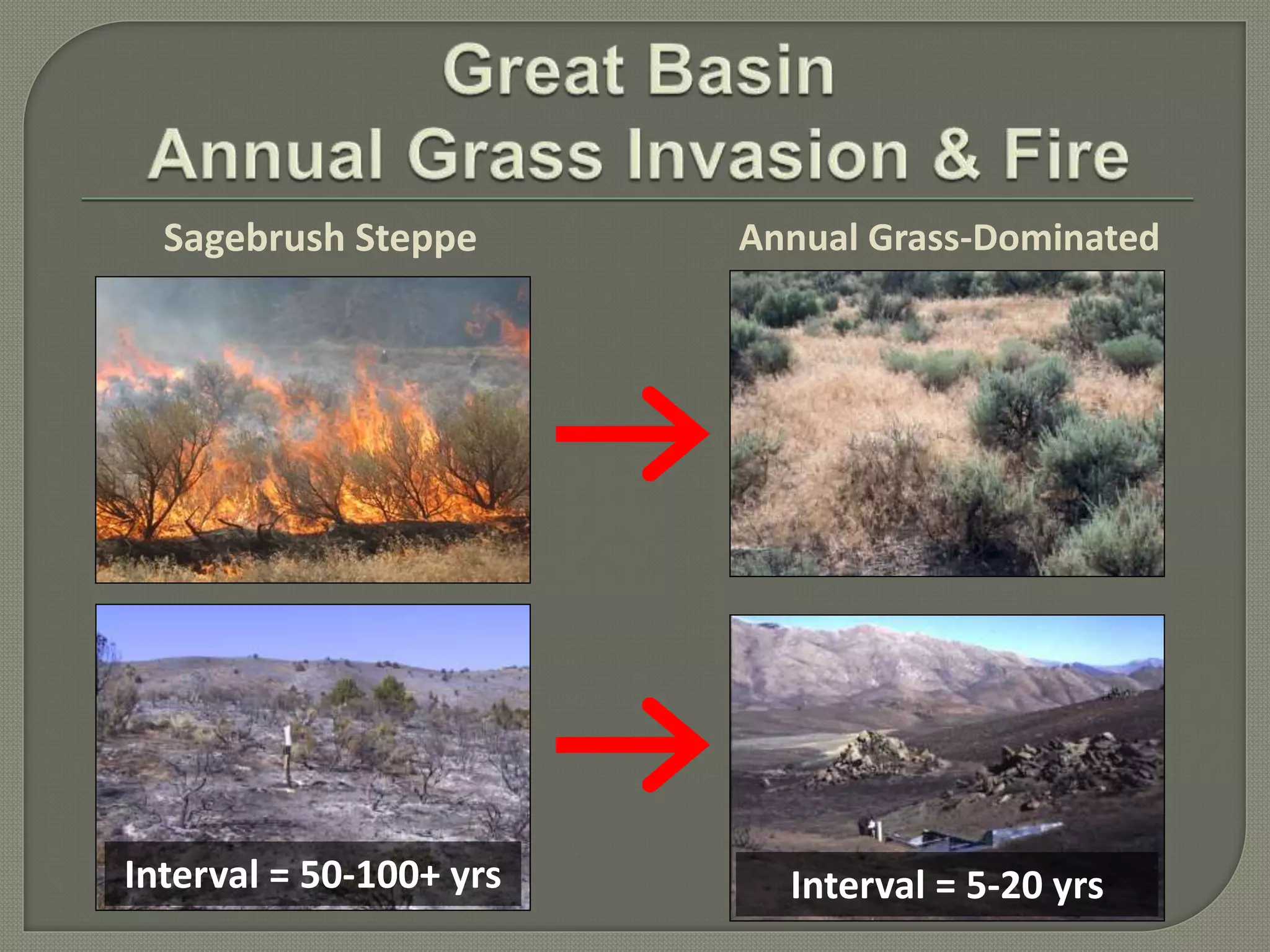 Fire impacts on rangeland erosion | PPTX