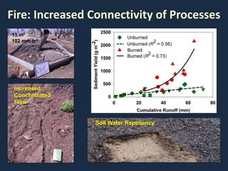 Fire impacts on rangeland erosion | PPTX