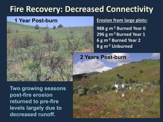 Fire impacts on rangeland erosion | PPTX