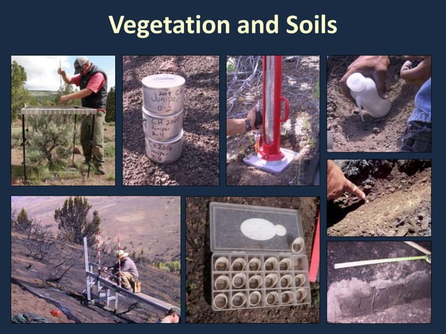 Fire impacts on rangeland erosion | PPTX