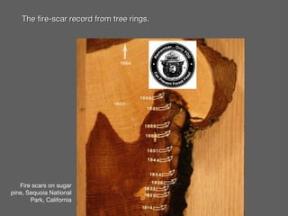 Fire lecture | PPT