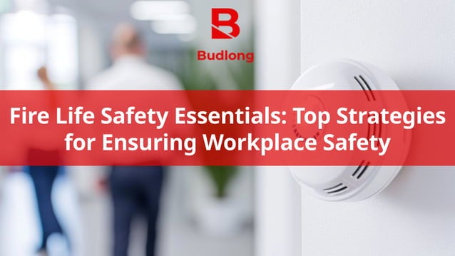 Fire Life Safety Essentials: Top Strategies for Ensuring Workplace ...