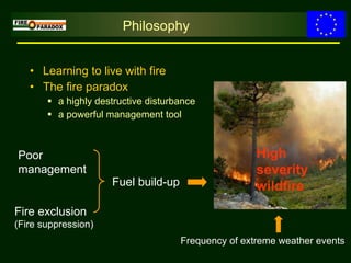 Fire Paradox - European Project | PPT