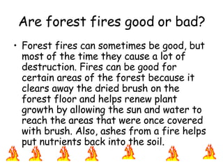Fires | PPT | Geography | Science