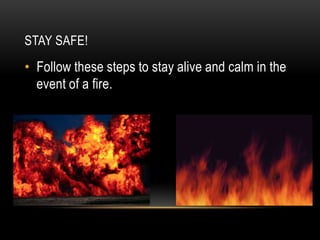 Fire safety | PPT