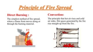 Fire safety | PPTX