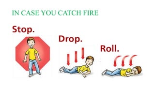 Fire safety | PPT