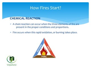 Fire safety.pdf