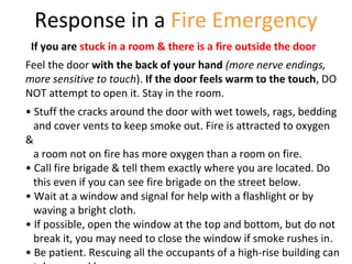 Fire safety basics | PPT