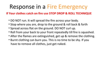 Fire safety basics | PPT